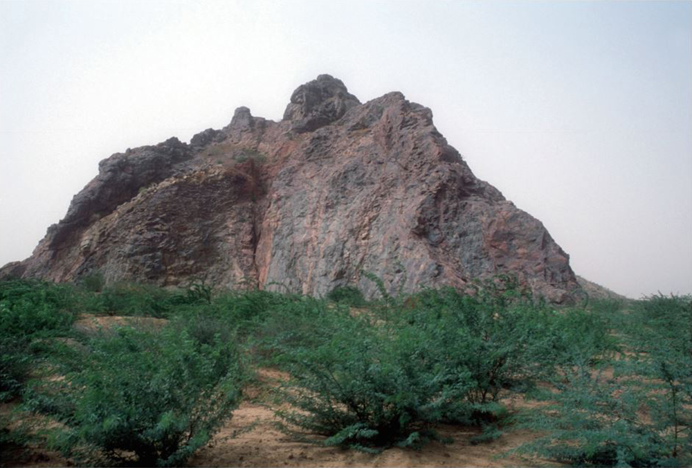 Grindingstone Acquisition Networks | Harappa